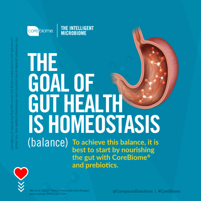 Why Short Chain Fatty Acids (SCFA)? - Compound Solutions : Compound ...