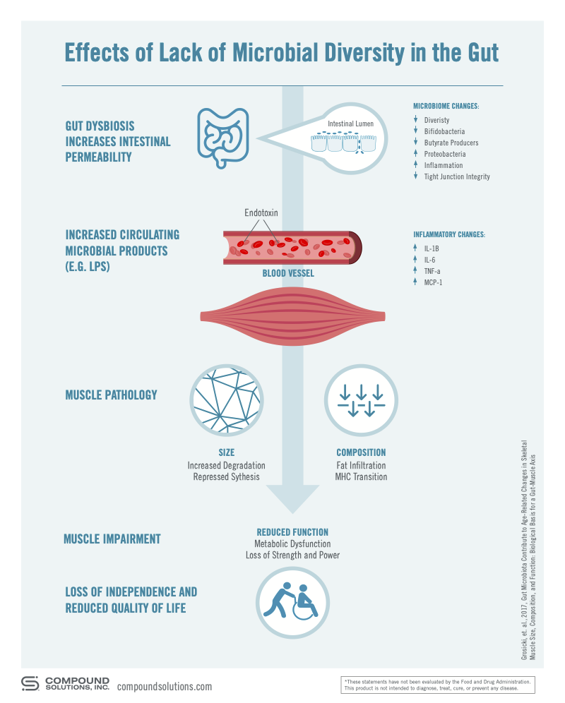 Tributyrin and Gut Health: Here's the Scoop - Compound Solutions ...